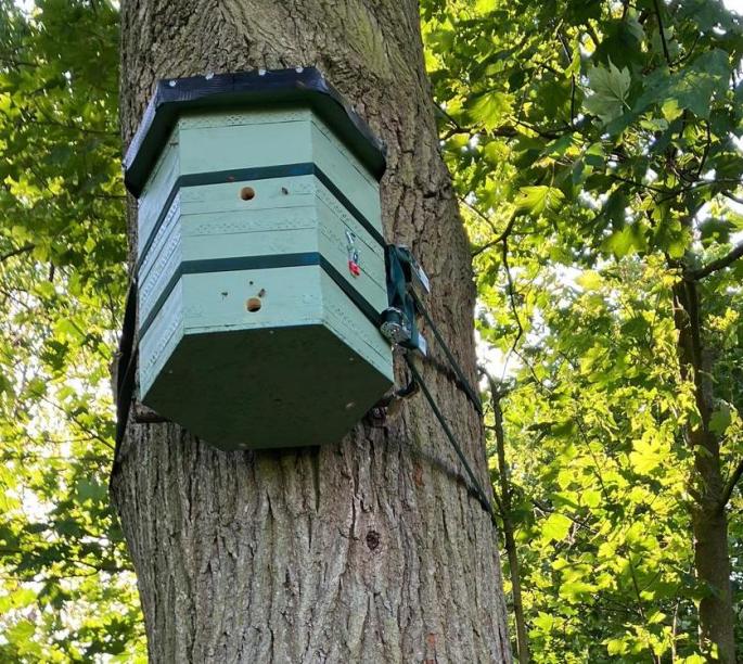 Our new swarm boxes are the bee’s knees! – Birchanger Wood